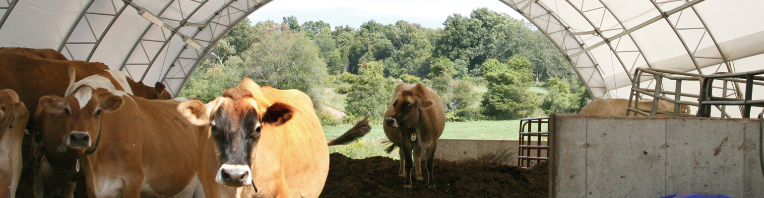 ClearSpan Monoslope Building: A Traditional Solution | ClearSpan