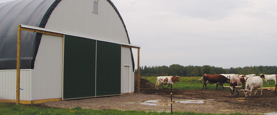 Truss Arch Cattle Buildings | ClearSpan