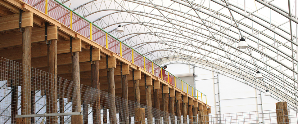 Event Structures, Temporary Retail Structures | ClearSpan