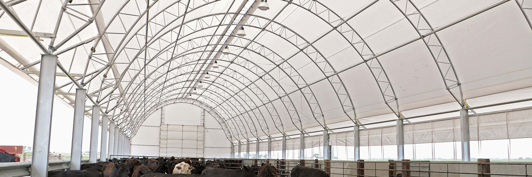 Truss Arch Cattle Buildings | ClearSpan