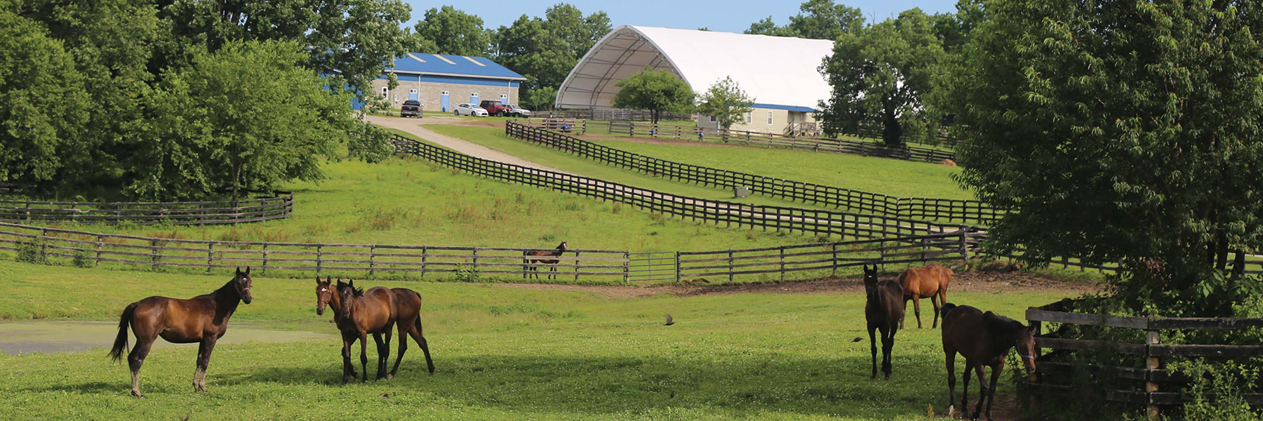 Horse Barns and Riding Arenas | ClearSpan