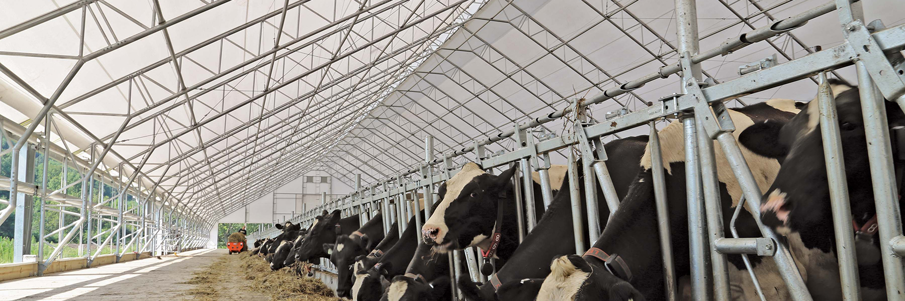 Farm Buildings - Arch Truss Fabric, Metal & Hybrid | ClearSpan