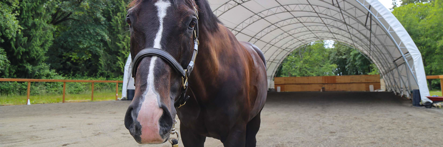 Indoor Riding Arena & Indoor Horse Arena | ClearSpan