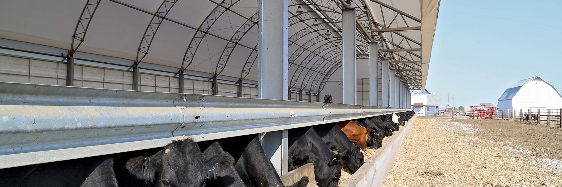 Truss Arch Cattle Buildings | ClearSpan